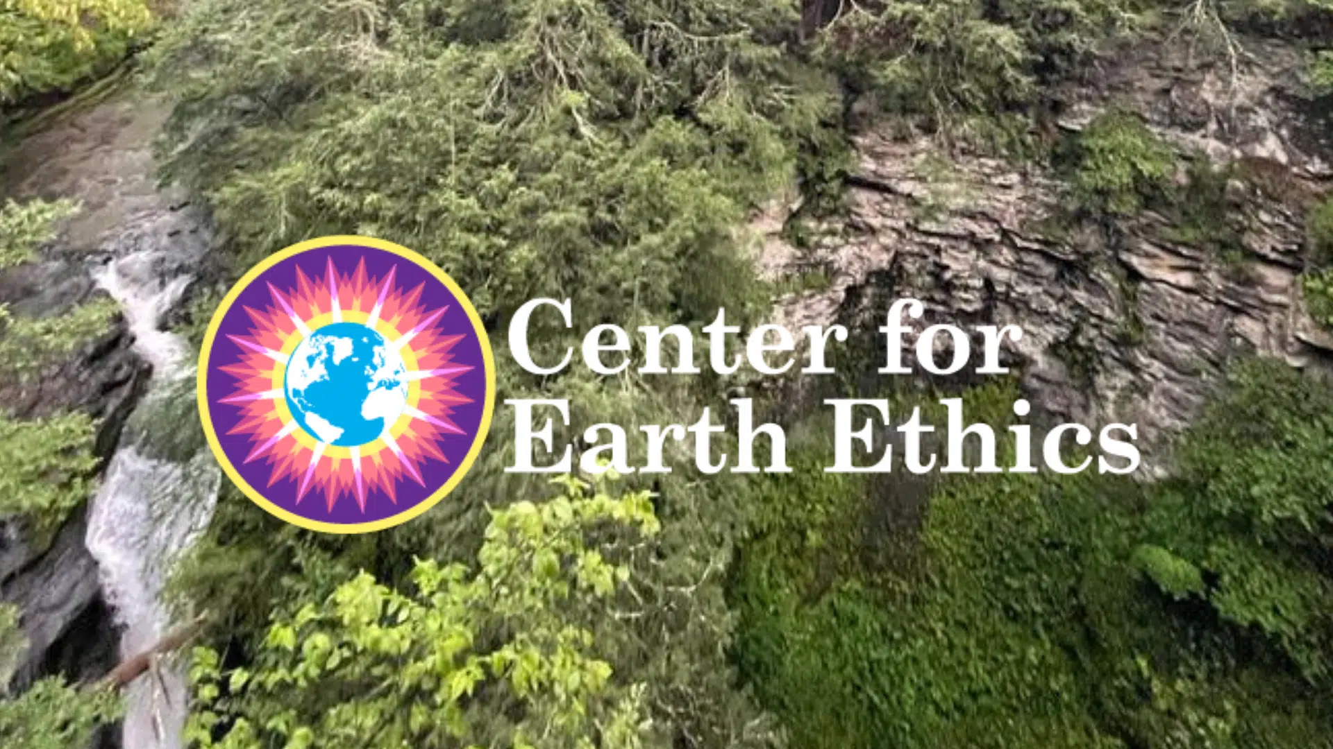 CEE August 2023 Update - Summer Reflections and Looking Towards Climate Week - Center for Earth ...