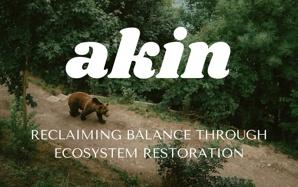 Akin, Issue II - Center for Earth Ethics